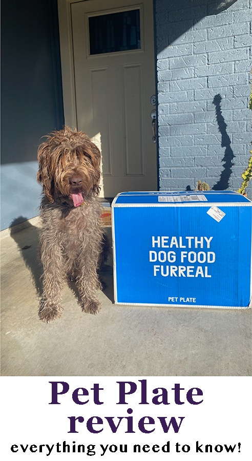 An Honest Pet Plate Review: Is it Worth it? - Eat the Gains