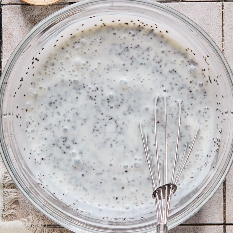 Creamy Kefir Chia Pudding Recipe - Eat the Gains